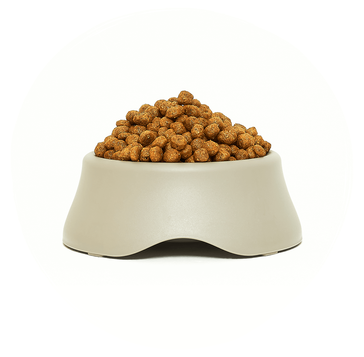 Paws on Plates - Where Health Meats Happiness - Home Cooked Dog Food