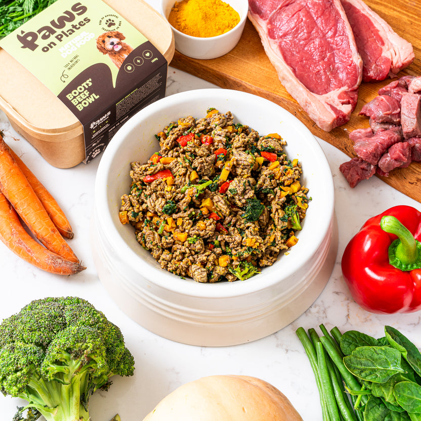 Paws on Plates - Where Health Meats Happiness - Home Cooked Dog Food