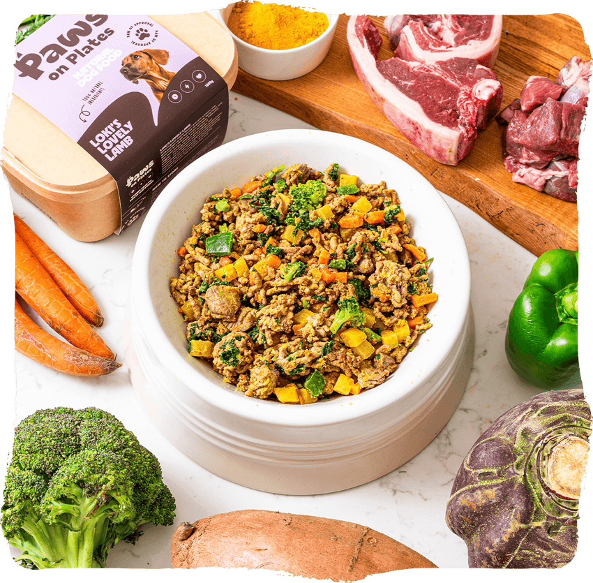 Paws on Plates - Where Health Meats Happiness - Home Cooked Dog Food